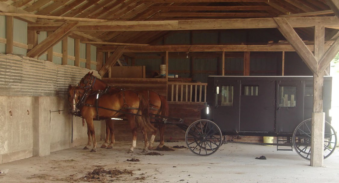 Toronto – St. Jacobs – De viaje con mamá